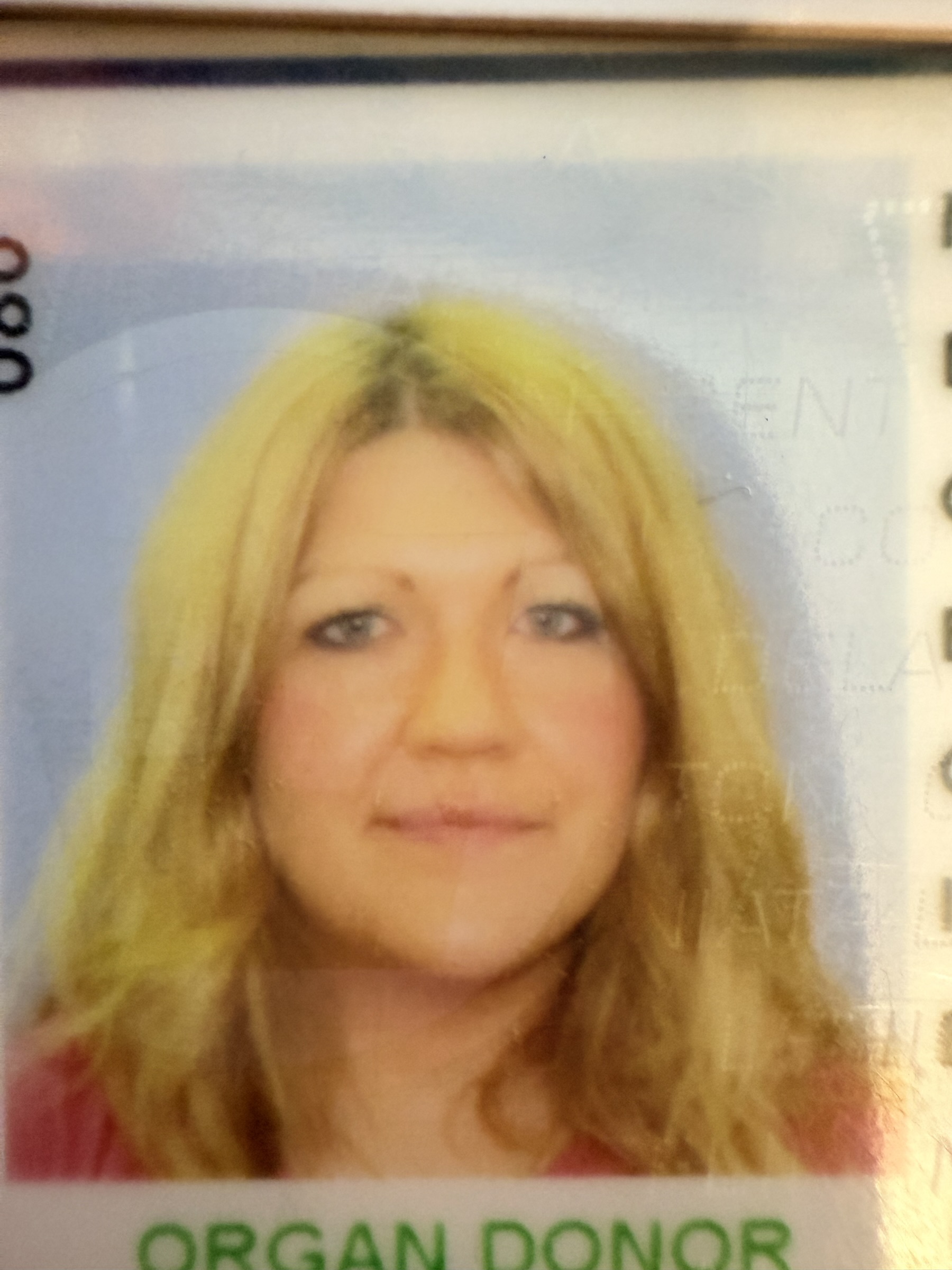 Oh Honestly, Erin » Friday Five: Driver’s Licenses, Friends, Etc.